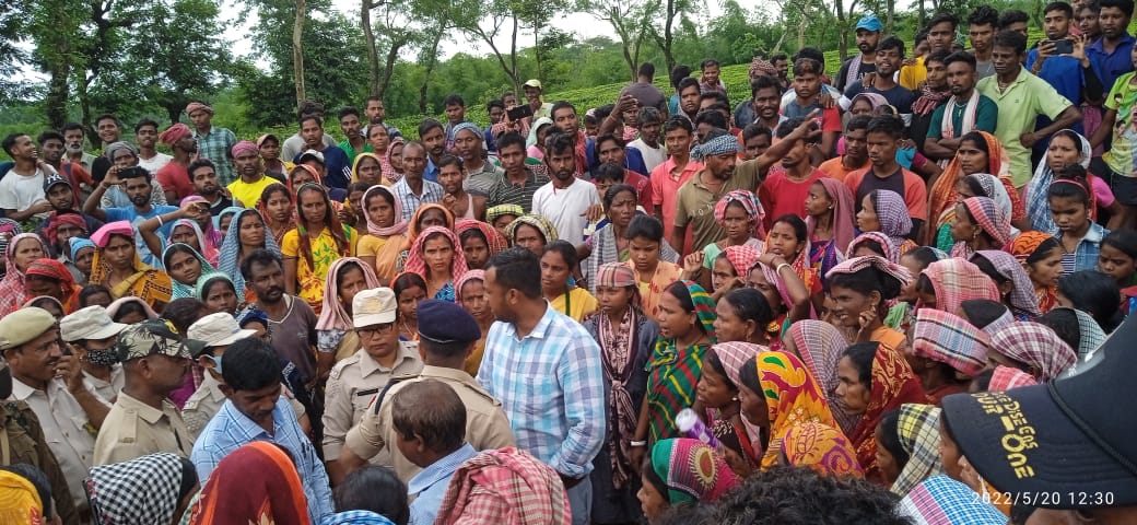 Doloo tea estate workers protest Greenfield Airport project | SabrangIndia