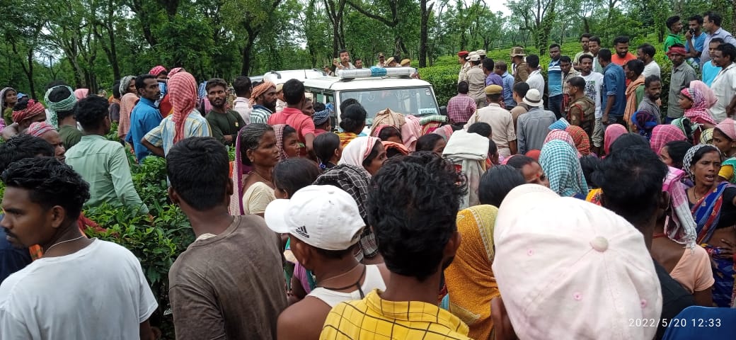 Doloo tea estate workers protest Greenfield Airport project | SabrangIndia