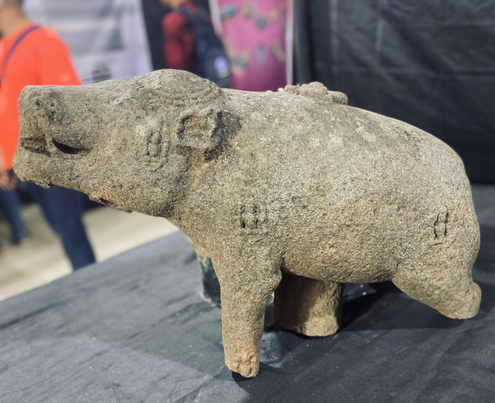 Roots of the Knowledge Tree | SabrangIndia