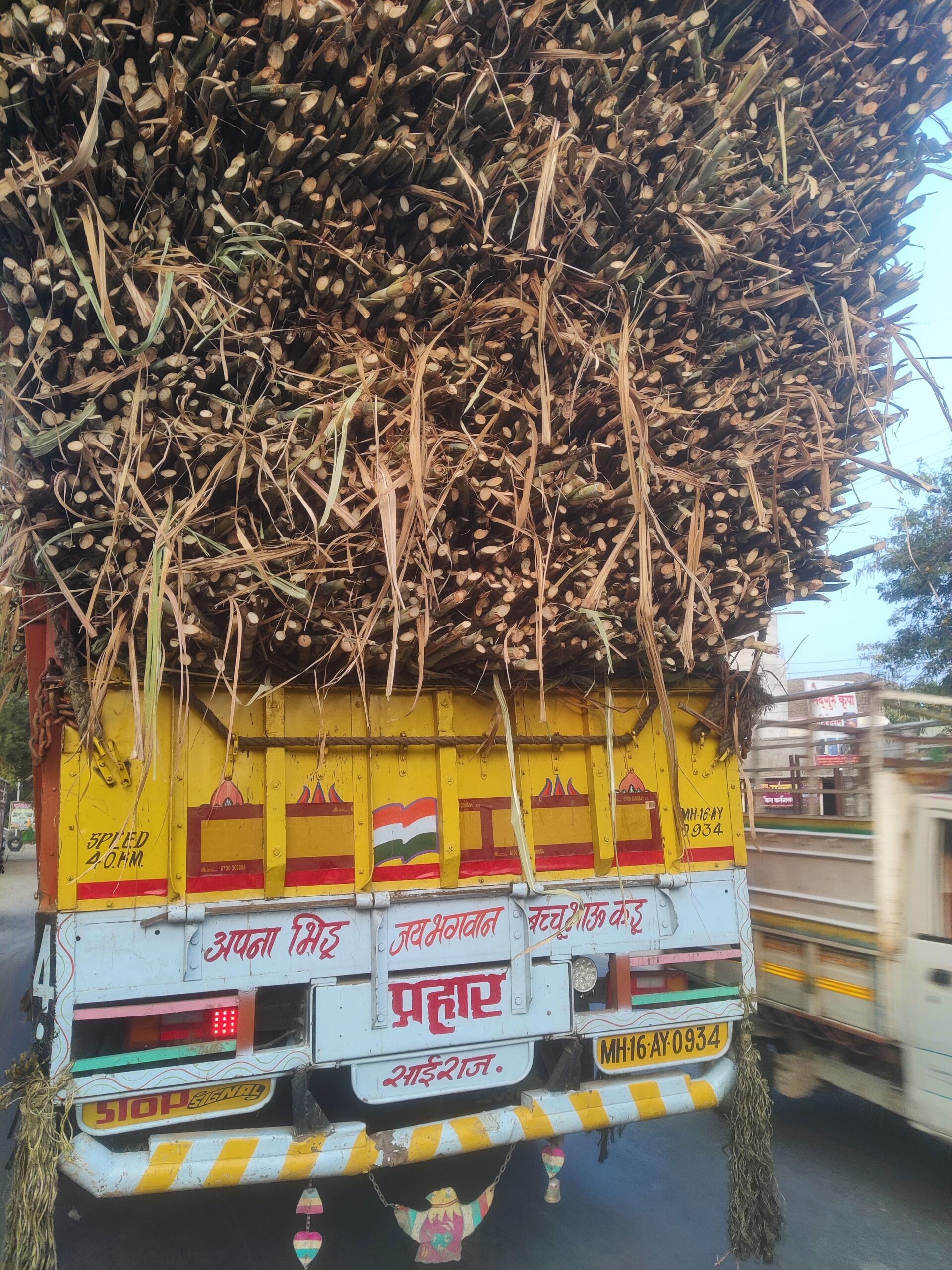 Beed, Marathwada: A heady and dangerous mix of mafia-political nexus ...